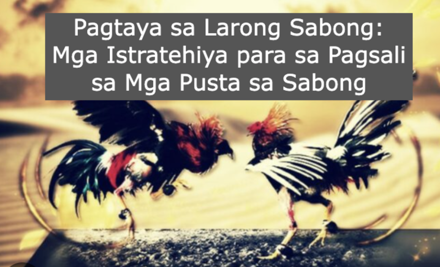 Pagtaya sa Larong Sabong: Mga Istratehiya para sa Pagsali sa Mga Pusta ...